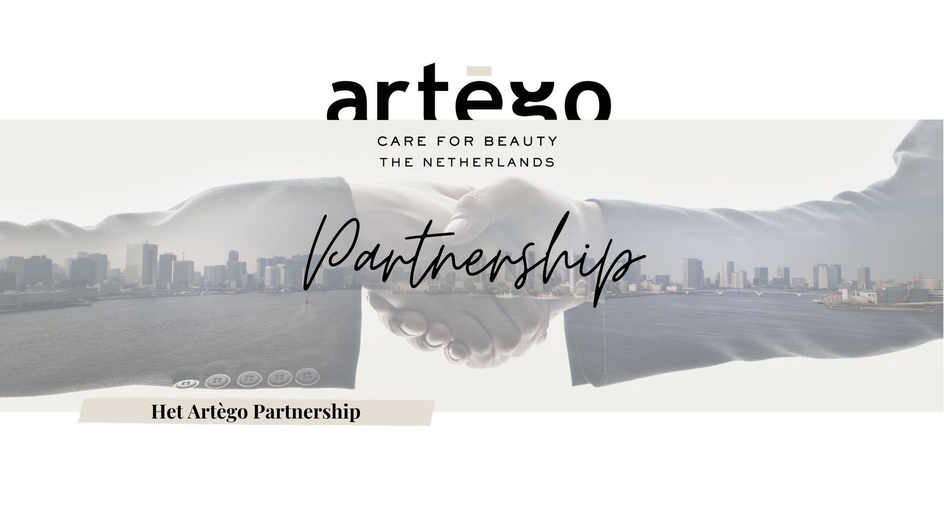 Artègo Professional | Artego Partnership – Artègo Professionals